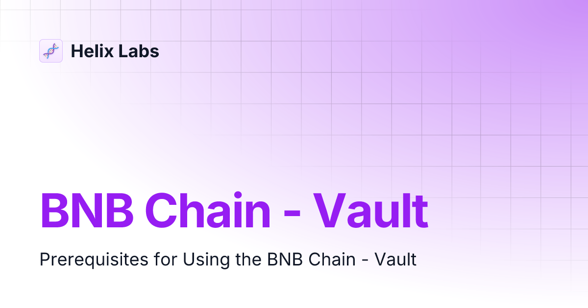 BNB Chain - Vault | Helix Labs